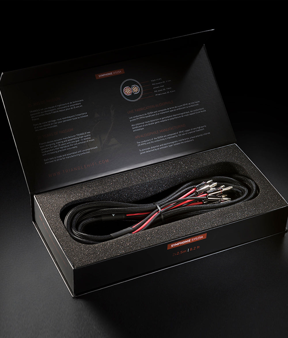 Hi-Fi Bundle Triangle BR08 + Cambridge AXR100 at the best price